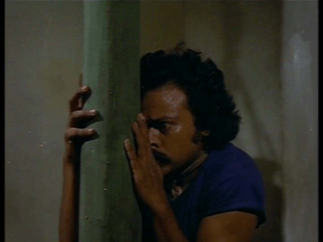 Punnami Naagu (1980) | Cinema Chaat