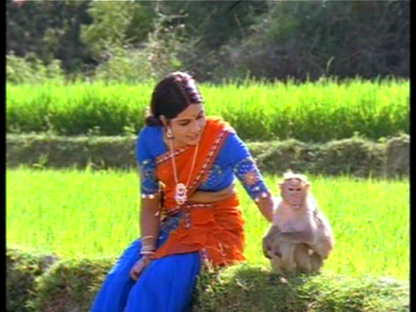 Punnami Naagu (1980) | Cinema Chaat