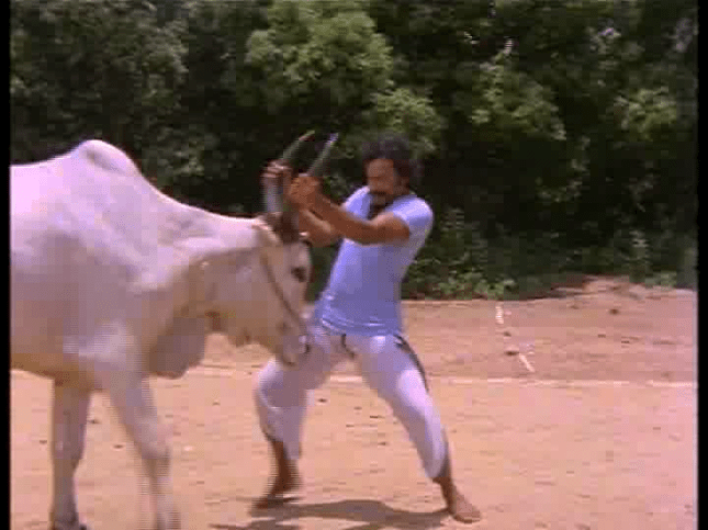 Punnami Naagu (1980) | Cinema Chaat