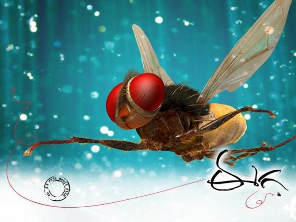 Eega | Cinema Chaat