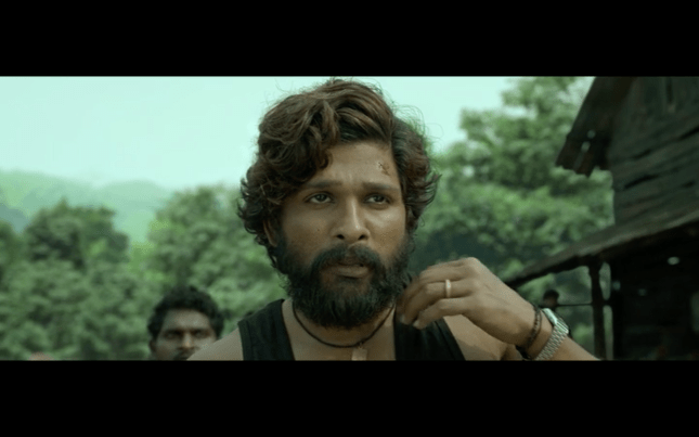 Pushpa: The Rise | Cinema Chaat